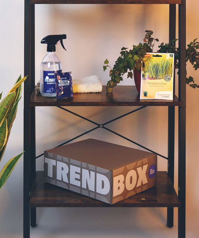 Trendbox bestellen - Deine Box für nachhaltige Trendprodukte